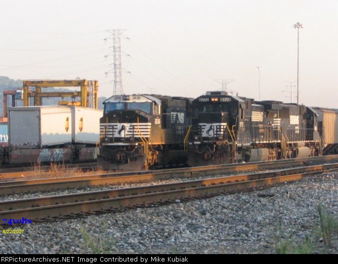 NS 2636 and NS 8772